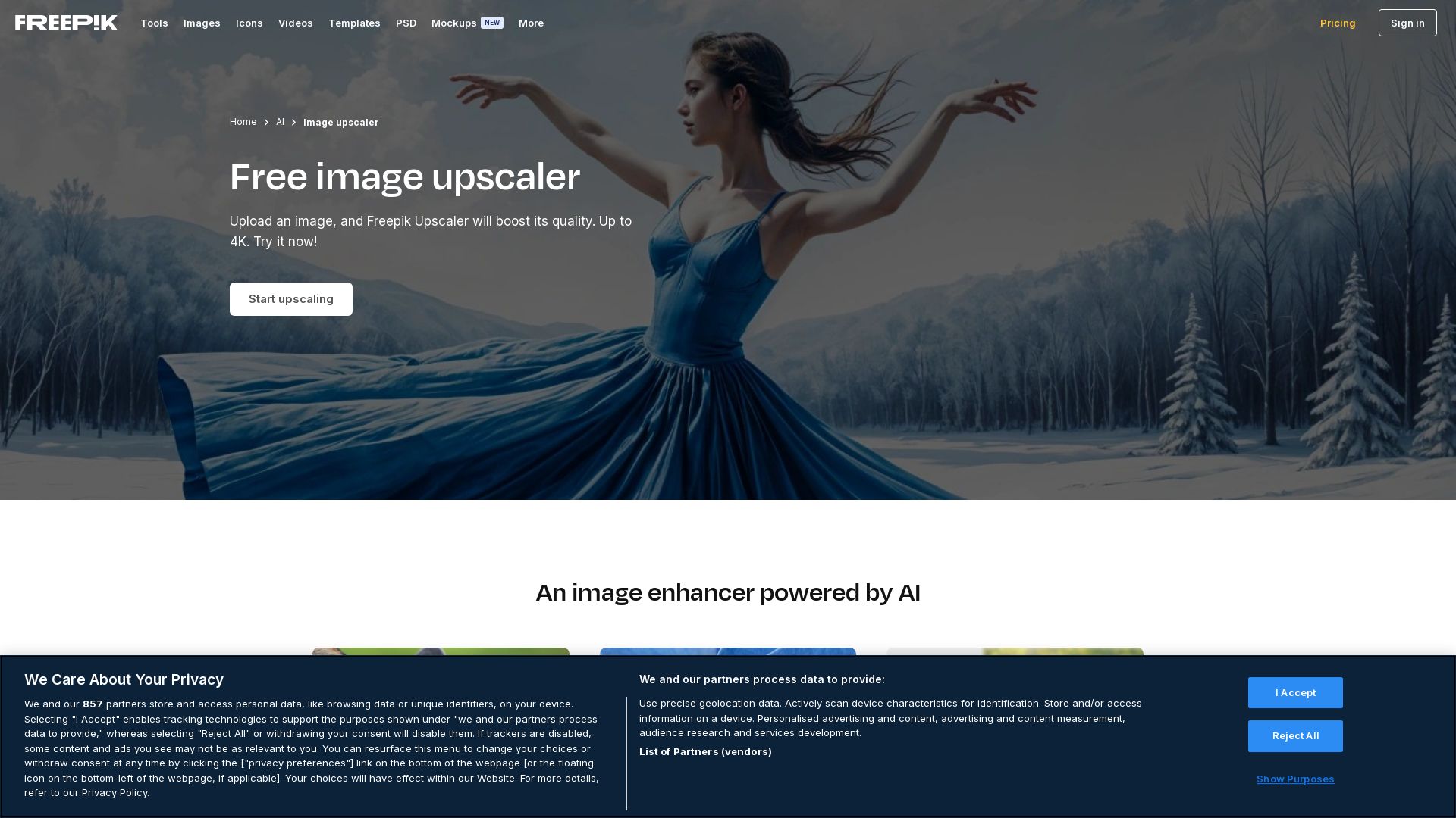 Freepik Upscaler / AI Image Enhancer / Best tools - GoGetGPT.com