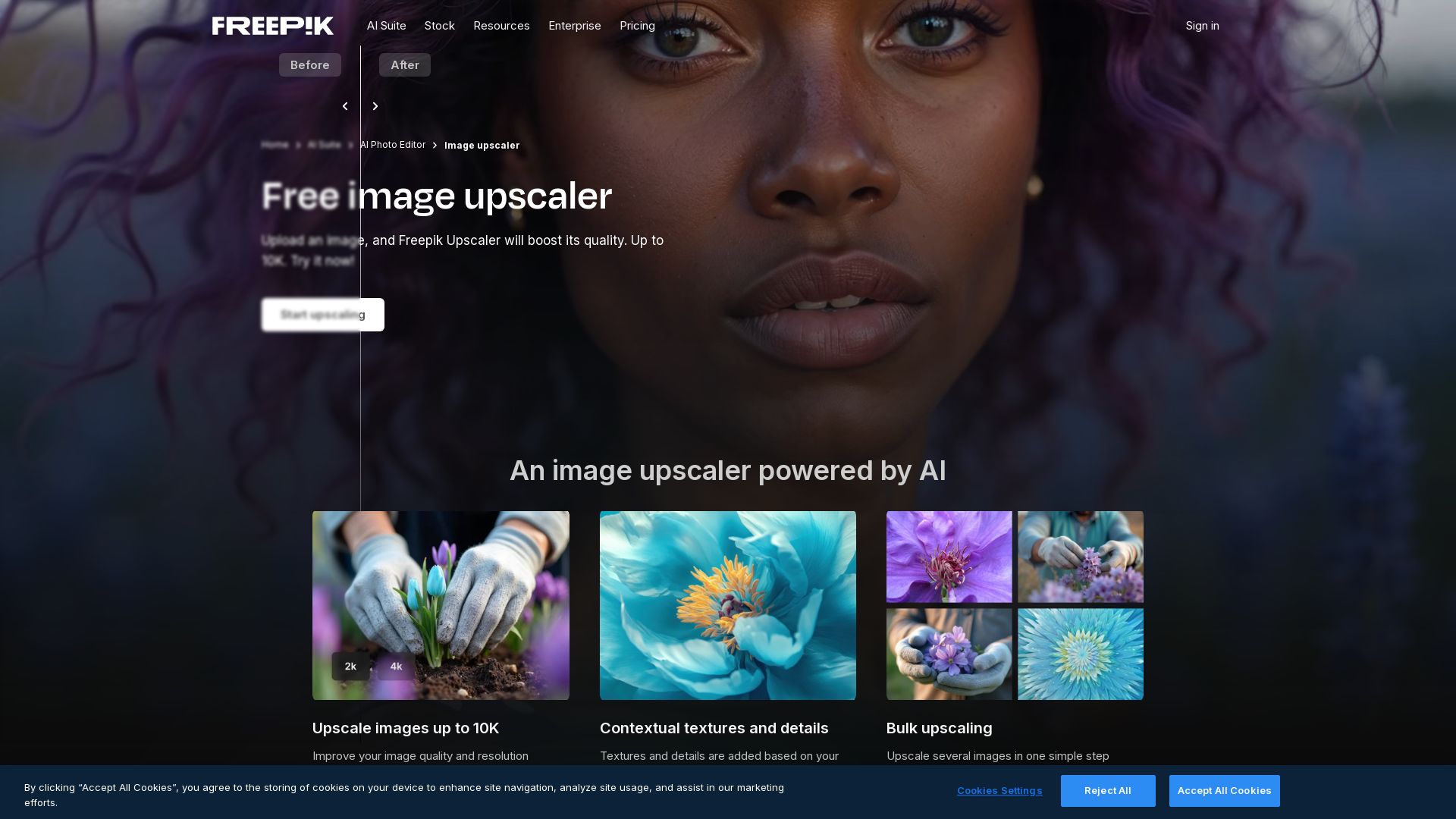Freepik Upscaler / AI Image Enhancer / Best tools - GoGetGPT.com
