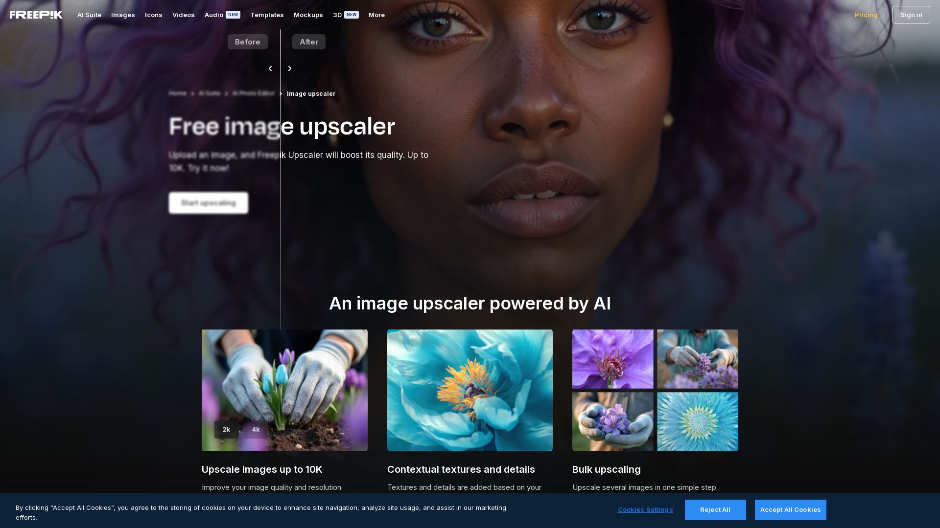 Freepik Upscaler / AI Image Enhancer / Best tools - GoGetGPT.com